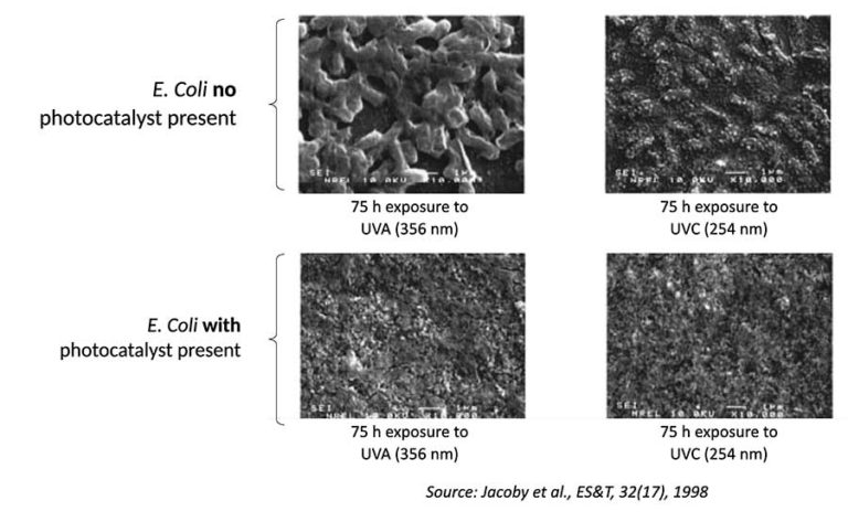 Antimicrobial Surfaces - Microporous Oxides Science & Technology